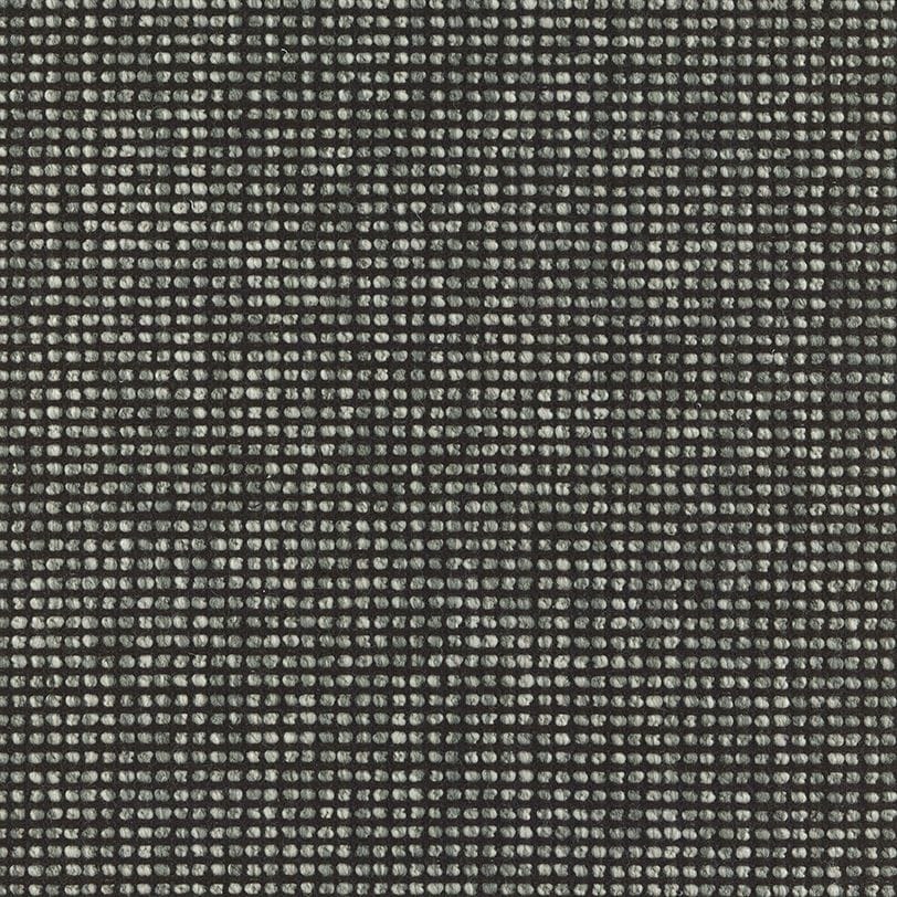 Acacia CUE10081 Grove