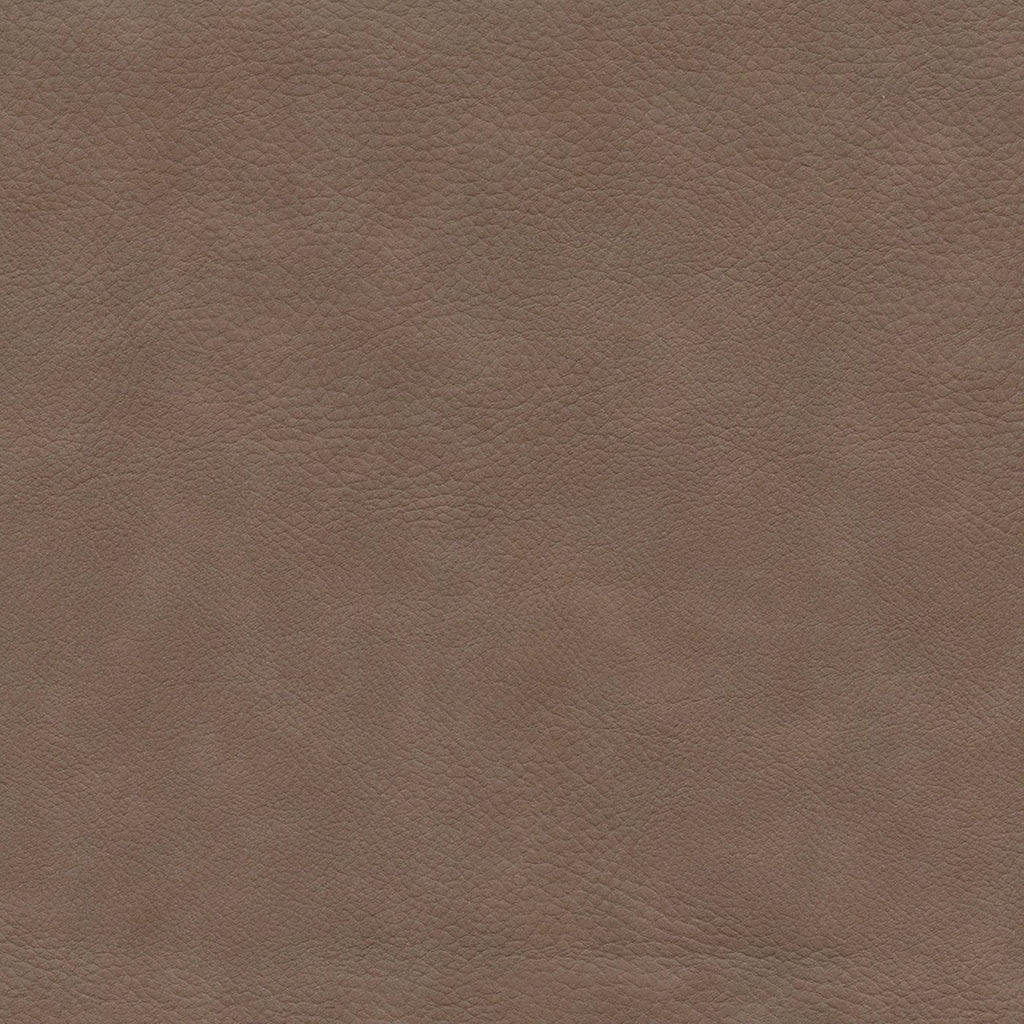 Safari 220552 Gicandi | Threadcount Textile & Design